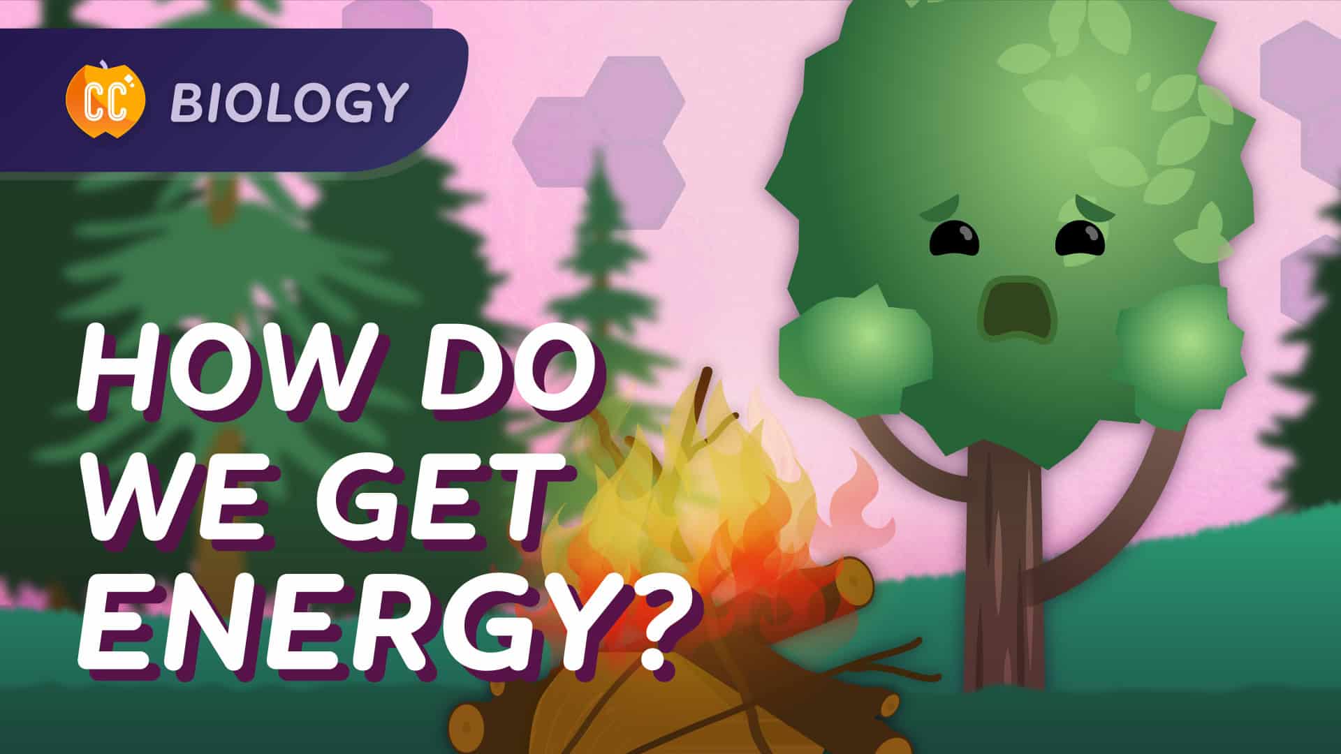 Crash Course Biology