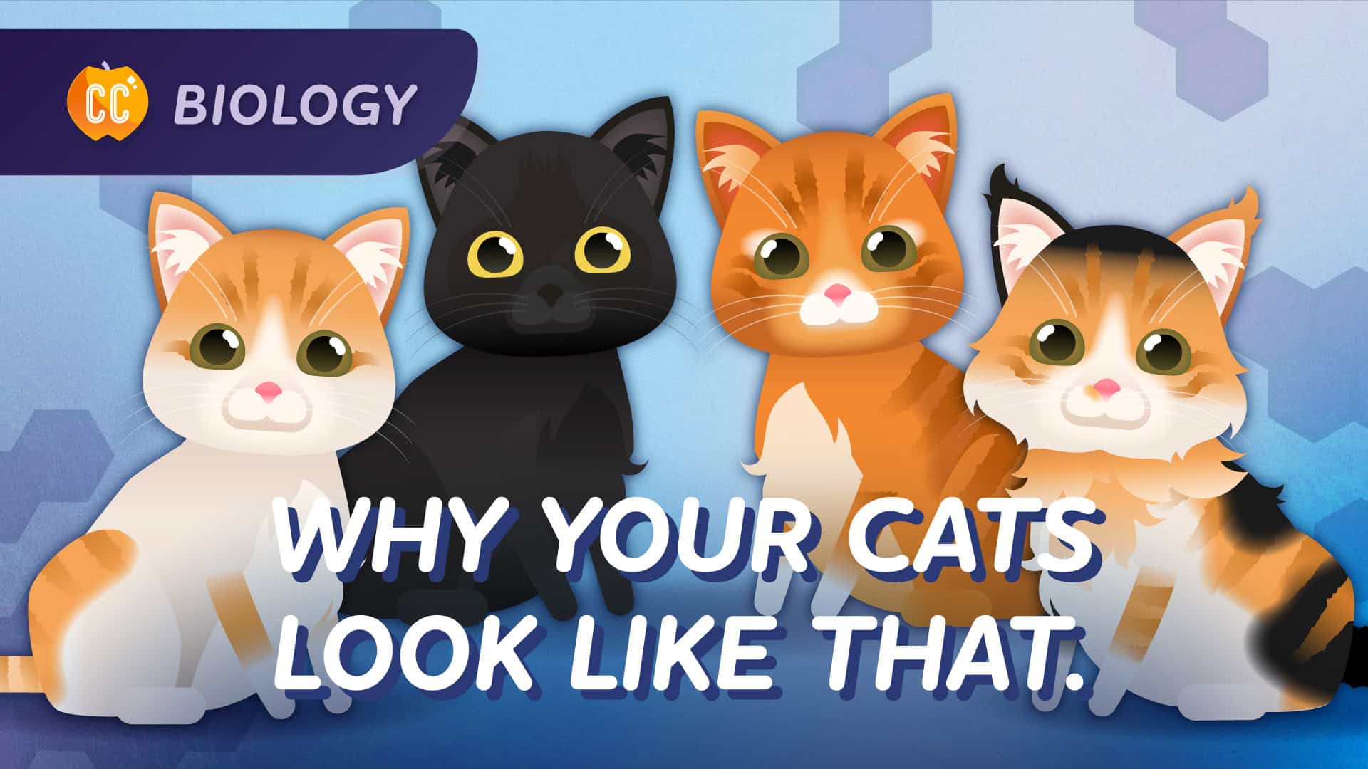 Crash Course Biology